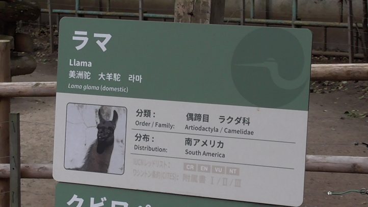 Winamp visualizations pack - molimake